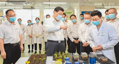 攥緊中國種子 才能端穩中國飯碗 翻爆 翻報