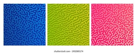 Set Three Colorful Turing Reaction Gradient Stock Vector Royalty Free 1891708588 Shutterstock