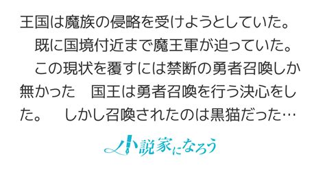 勇者召喚されたのは黒猫だった