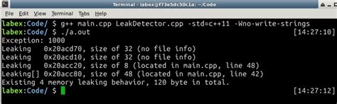 Implementing A Memory Leak Detector With C Labex