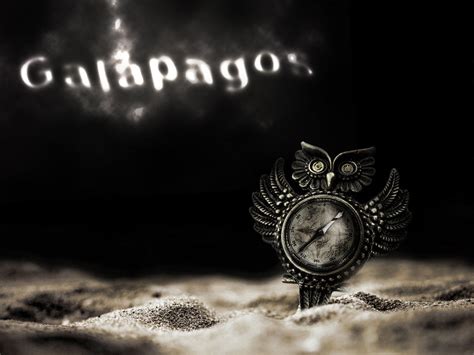 Owl Compass Wallpaper With Writing Better By Moonsleep On Deviantart