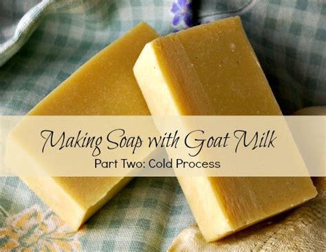 Making Soap With Goat Milk Cold Process Oak Hill Homestead