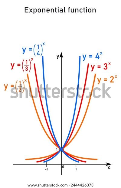 Exponential Functions Color Coded Graphs Six Different Stock Vector Royalty Free 2444426373