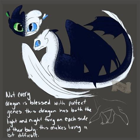 Httyd Art Interesting Drawings Httyd Dragons Night Fury How Train