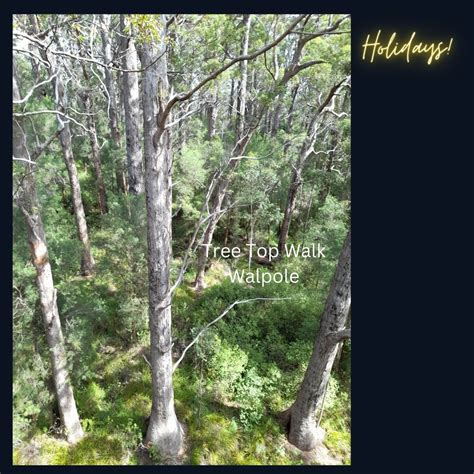 Adele Hunter Adelehunter647 • Instagram Photos And Videos