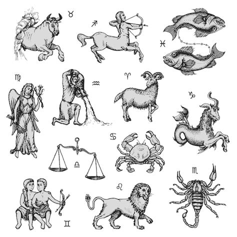 Premium Vector Zodiac Signs Set Vector Drawing Horoscope Design