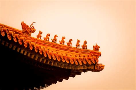 每天坚持这六件事，你会越来越好！生活珍珠一个人