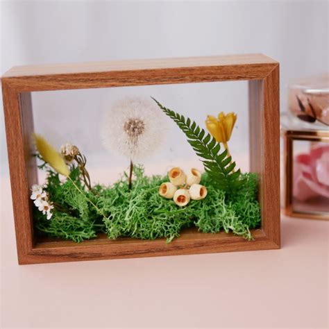 中空框材料包 極度花燥 永生花 花禮 極度花燥｜花藝盆栽植栽人氣榜 Pinkoi
