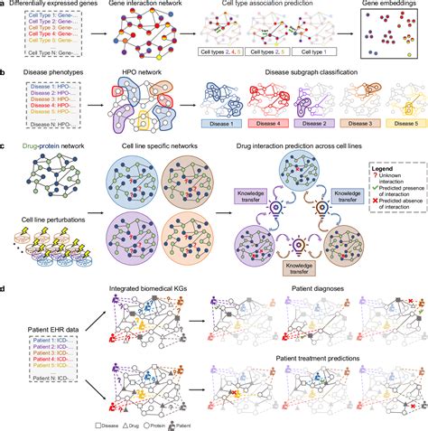 Figure 1 From Graph Representation Learning In Biomedicine Semantic