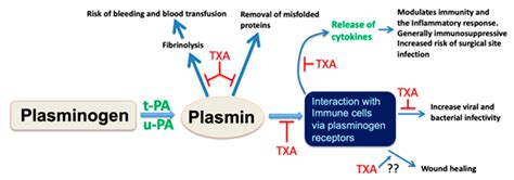 Plasmin Immunity And Surgical Site Infection