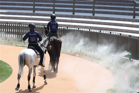 “新装”京都競馬場で馬場走行テスト Moment日刊ゲンダイ