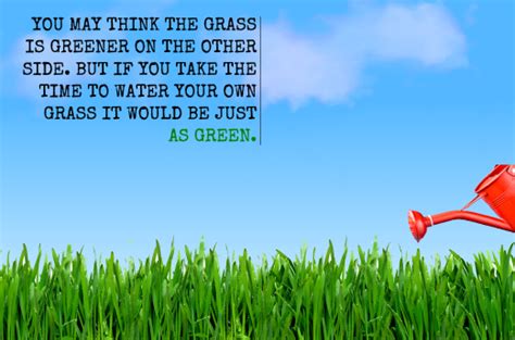 You May Think The Grass Is Greener On The Other Side But If You Take