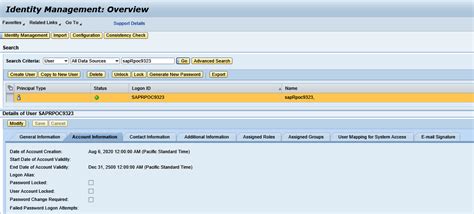 Cve 2020 6287 Aka Recon Remotely Exploitable Code On Netweaver