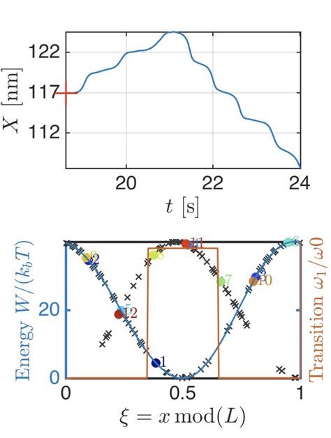 Figure Movie 1 Stochastic Simulation For A Transition Rate Localized Download Scientific