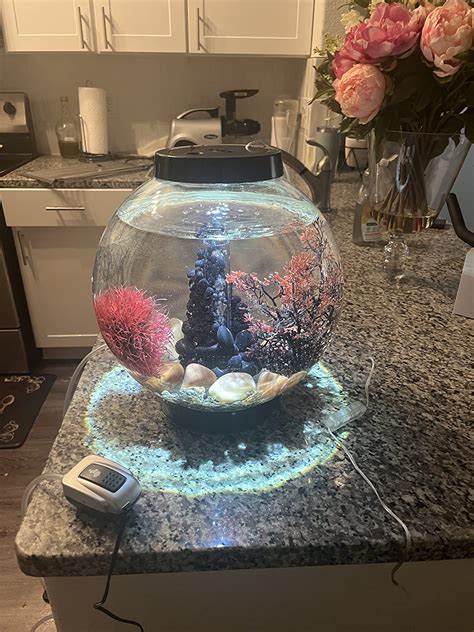 25 Mo Finance Biorb Classic 15 Complete Aquarium Set Black 4