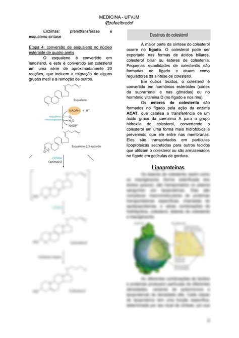 Solution Metabolismo Do Colesterol Studypool