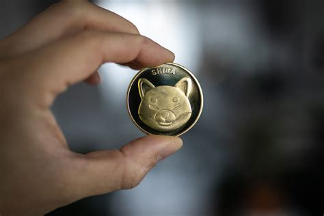Shiba Inu Lead Developer Declares Its Time To Showcase Projects Power