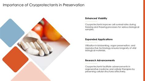 Exploring Cryoprotectants Essential Agents For Preservation Ppt Presentation St Ai Ppt Sample