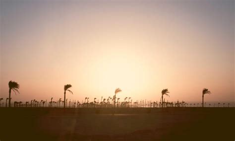 Mastering Agile Software Development Methodologies — Association Of