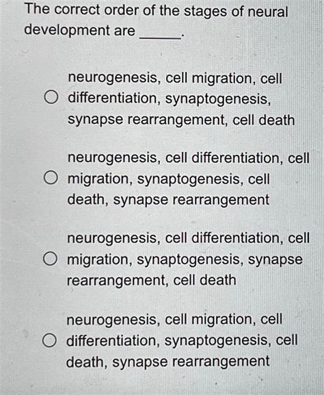 The Correct Order Of The Stages Of Neural Development Are Neurogenesis Cell Migration Cell