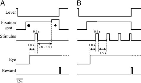 Temporal Sequences Of Events In Single Trial Of Behavioral Tasks A