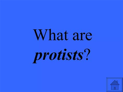 Classify Organisms Jeopardy Ppt