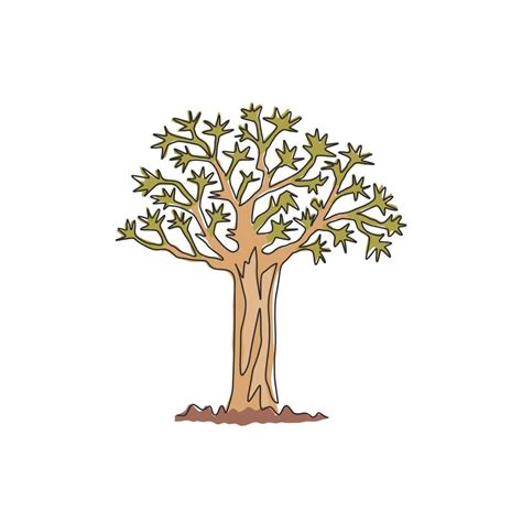 Single One Line Drawing Of Quiver Tree Forest Decorative Kokerboom