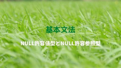 Null Null C