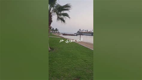أنت سوري حر Youtube