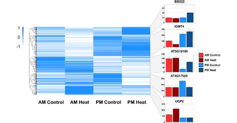 Heatmap Of Temporally Heat Responsive Transcripts We Performed