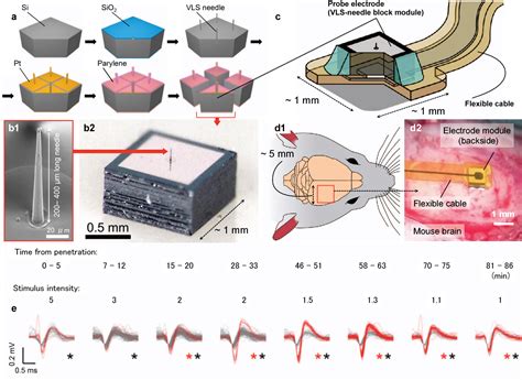 Micro Nano Scale Needle Devices For The Brain Semantic Scholar
