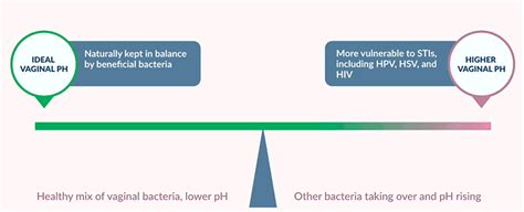 About Bv Bv Vs Trich And Yeast Infection Risks And Treatment