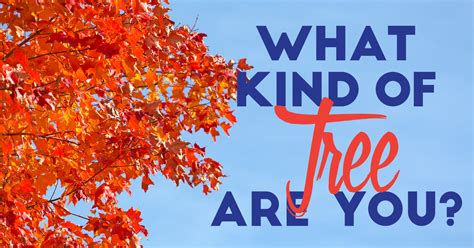 Tree Quiz What Tree Are You Quiz Result Tree Quiz What Tree Are You Quiz Result