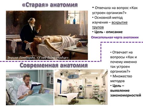 Науки о человеке презентация онлайн