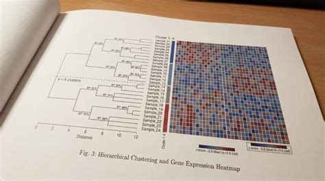 Dendrogramme Tout Sur Le Diagramme De Clustering Hiérarchique
