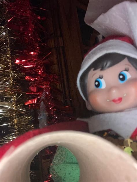 She Loves It When Elfie Toilet Papers The House R Elfontheshelf