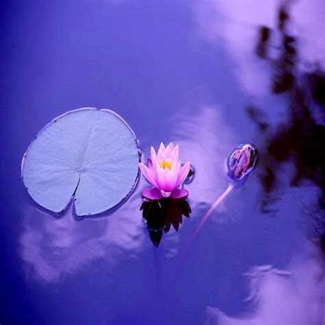 Phillip Millay Songs List Genres Analysis And Similar Artists Chosic