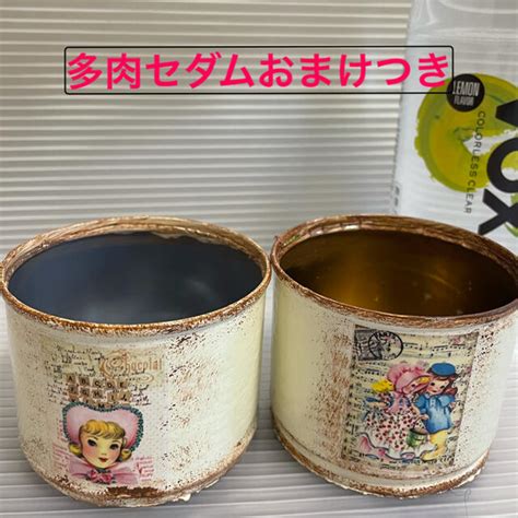 最終お値下げ˙ᵕ˙⑅リメイク缶2個セット 多肉セダムおまけつきの通販 By おはちゅs Shop｜ラクマ