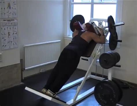 Reverse Hack Squat Machine