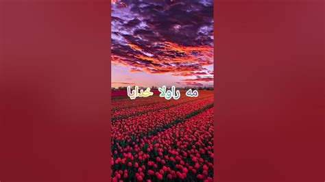 ښکلی شعر Youtube