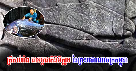 ត្រីគល់រាំង ជាមច្ឆជាតិនិមិត្តរូបនៃព្រះរាជាណាចក្រកម្ពុជា Khmerload