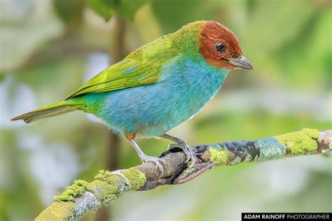 David Shellenberger On Linkedin In Colombia