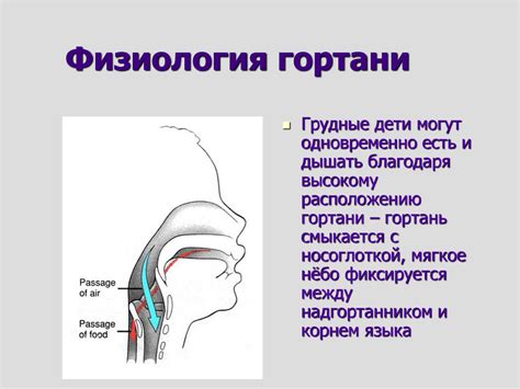 Заболевания гортани презентация онлайн
