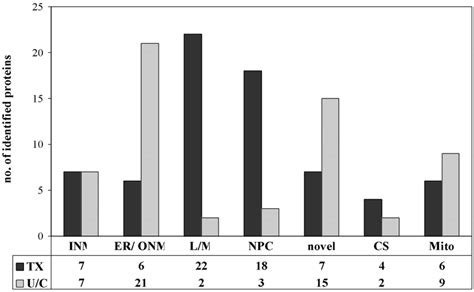 Distribution Of Ne Proteins On The Different Fractions Selected Download Scientific Diagram