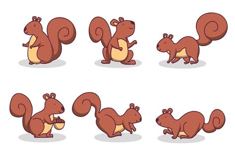 Conjunto De Ardillas Lindas Con Varias Poses Y Vectores De Dibujos