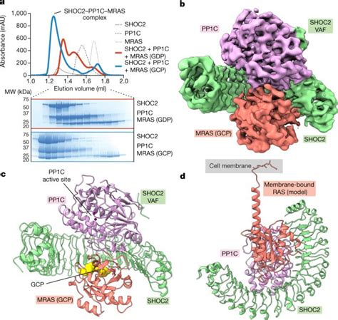 It Was A Great Pleasure To Collaborate With Nick Sudhamsu And The Team
