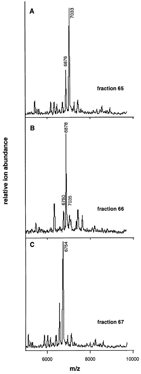 Maldi Tof Mass Spectra Of Propeptide Cleavage Products Download