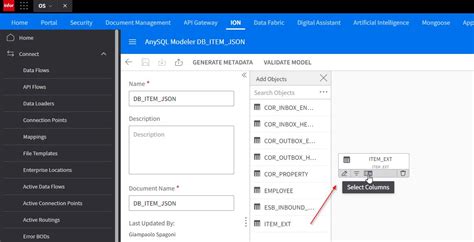 Customize Object Schema Bod Json Any Infor Developer Portal