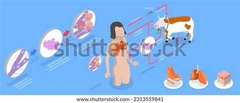 546 Anthrax Stock Vectors And Vector Art Shutterstock