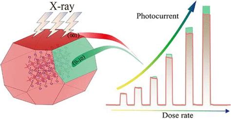 Lead Free Bismuth Based Perovskite X Ray Detector With High Sensitivity And Low Detection Limit